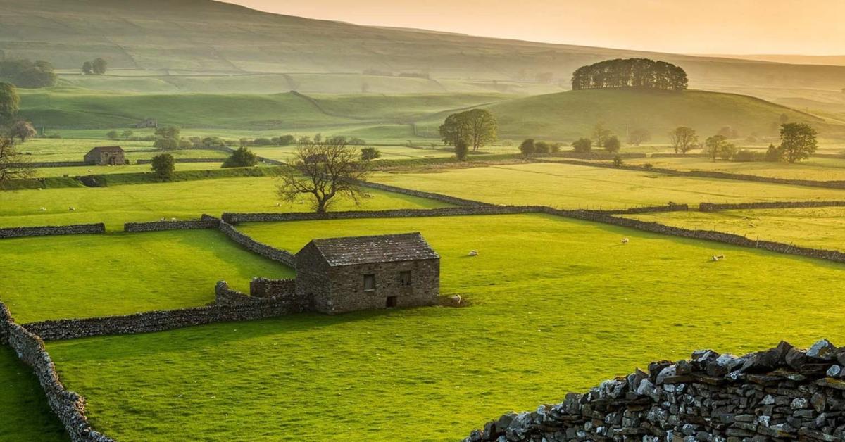 Ian Angus’s ‘The War Against the Commons’: A vital new history of the ...